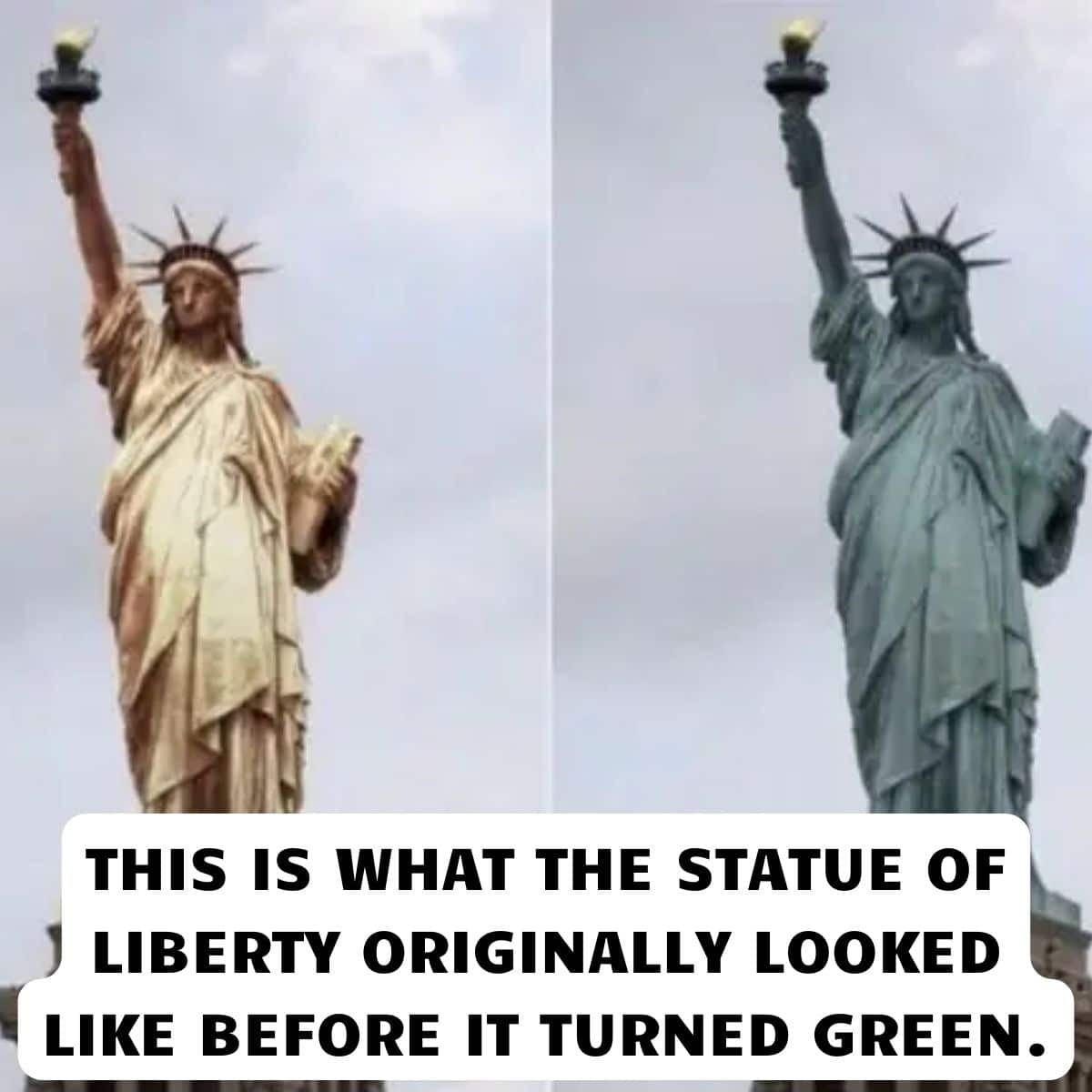 45 Unusual Photos of Things You Probably Haven’t Seen Before – Page 39